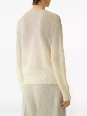 Fabiana Filippi V-neck Sweater