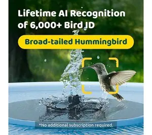 BIRDFY Bird Bath Pro Ai With Camera Solar Power Ed