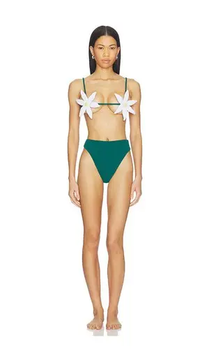 NAU BIKINIS High Waist Bikini Bottom
