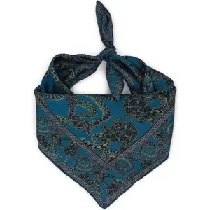 MONZLAPUR Silk Snake Scarf - Teal X Mint
