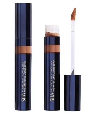 SIIA COSMETICS 2-pc. Ultimate Fit Concealer Duo - Pecan