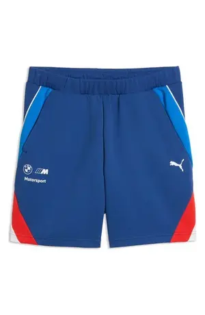 Puma Paneled Shorts For Men