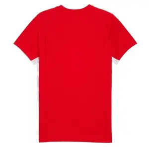 PUMA Chivas 2025/26 Evostripe Raglan T-shirt