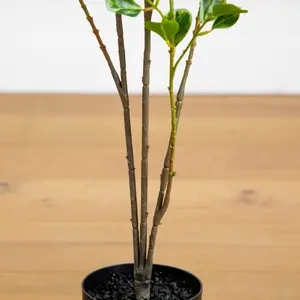 NEARLY NATURAL 4' Artificial Heart Shaped Ficus Leaf Tree