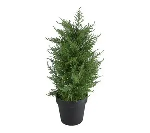 NORTHLIGHT Real Touch Cedar Pine Petite Arborvi Tae Pot 2 - One-color