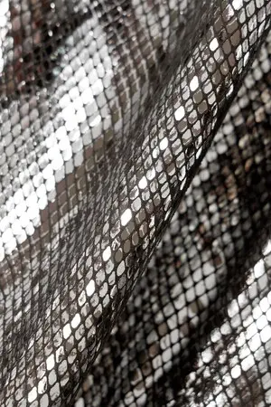 Balmain Chain-embellished Snake-print Maxi Dress - Silver