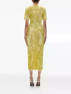 Rachel Gilbert Kaia Sequin Sleeve Midi Dress