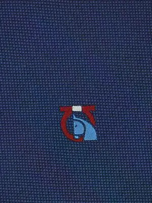FERRAGAMO Logo Tie - Blue