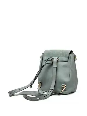 Chloé 2017 Medium Calfskin And Suede Faye Backpack