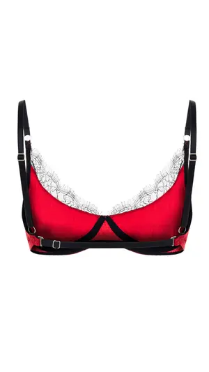 MERS SILK Hera Brasilk & Lace Underwire Balconette Bra