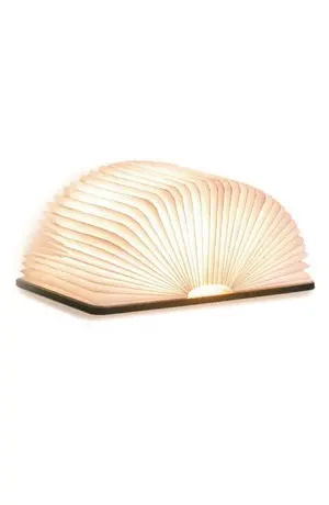GINGKO Smart Book Light