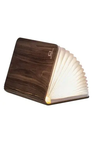 GINGKO Smart Book Light