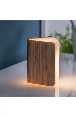 GINGKO Smart Book Light - Mini