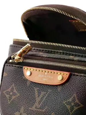 LOUIS VUITTON Bum Bag Monogram Canvas Mini