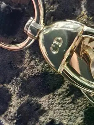 Dior Lady D-lite Mizza Leopard-print Tote Bag