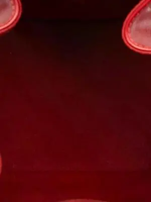 LOUIS VUITTON 2013 Epi Petit Noe Bucket Bag - Red
