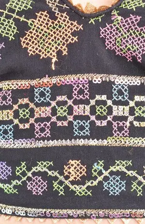 RAAS Embroidered Chaniya Choli Set