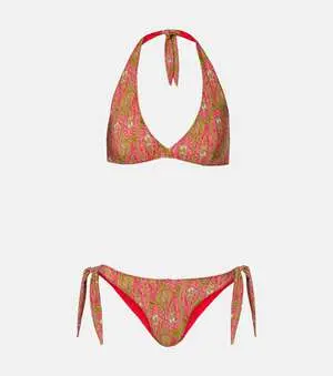 Etro Printed Two-piece Bikini - Pink