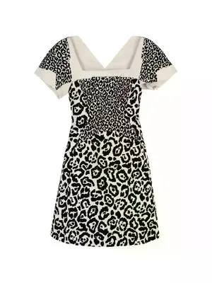 Antonio Berardi Leopard-print Mini Dress