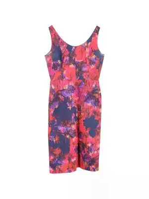 Erdem Printed Sleeveless Dress