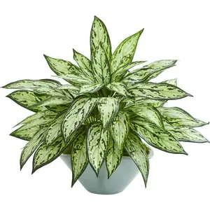 NEARLY NATURAL Silver Queen Artificial Plant - Green