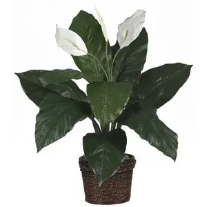 NEARLY NATURAL Spathiphyllum With Wicker Artificial Plant - Green