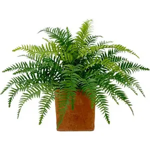 NEARLY NATURAL 22-in Artificial Fern Plant In Decorative Planter - Green