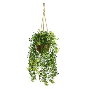 NEARLY NATURAL 20-in Baby Tear Artificial Plant In Hanging Basket - Green