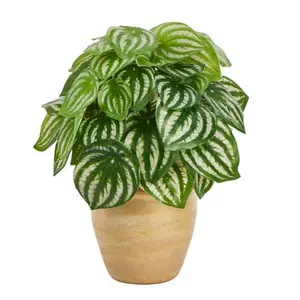 NEARLY NATURAL 11-in Watermelon Peperomia Artificial Plant In Ceramic Planter - Green