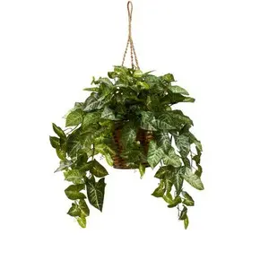 NEARLY NATURAL Nephthytis Hanging Basket - Green