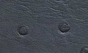 Mulberry Ostrich Embossed Leather Case Case