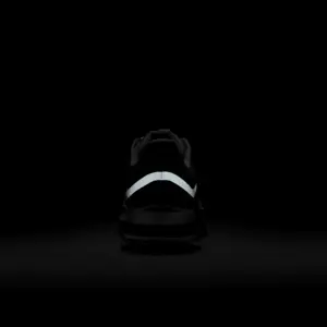 Nike Pegasus Premium Road Running Shoes