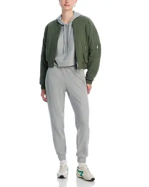 Aqua Brushed Rib Joggers - Heather Gray