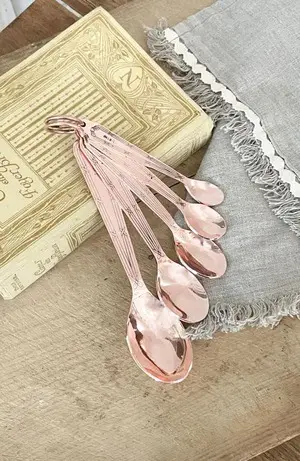 COPPERMILL KITCHEN Vintage Inspired Measuring Spoons