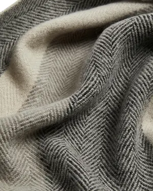 Ted Baker London Alfredi Striped Scarf
