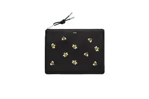 Dior X Kaws Bee Pouch