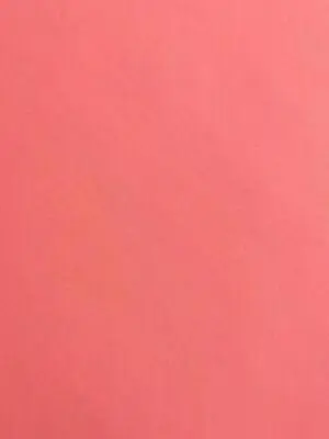 Alberta Ferretti Silk Scarf - Pink