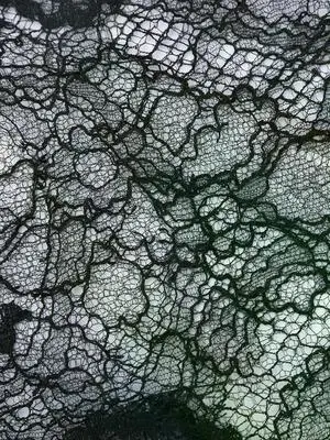 Valentino Garavani Lace Trim Scarf