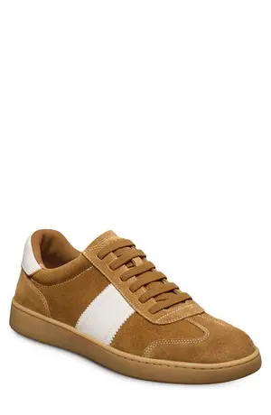 Allen Edmonds Ludlow Slip-on Sneaker - Fawn