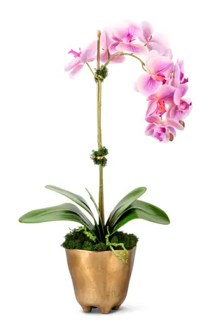 COCOBELLA Axel Realtouch Orchid Arrangement - Periwinkle
