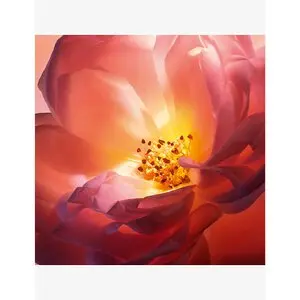 LANCOME Absolue Hot As Rose Eau De Parfum