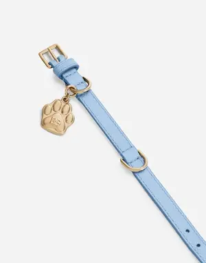 Dolce & Gabbana Dog Collar - Azure