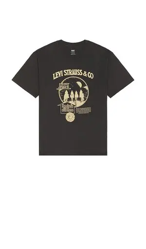 LEVI'S Fit Graphic Tee In Grey