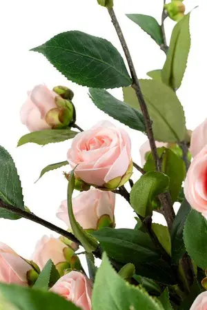 COCOBELLA Zyla Rose Branch Arrangement