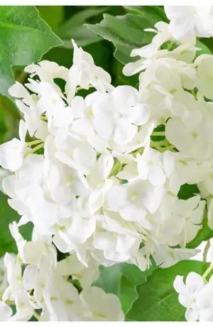 COCOBELLA Rhea Realtouch Ball Hydrangea Arrangement