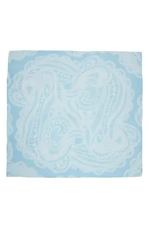 Rag & Bone Paisley Scarf