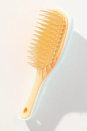 Female Portable Hairbrushes
