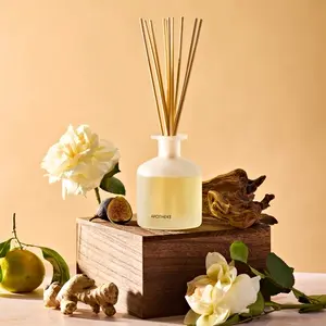 APOTHEKE Cedarwood Ginger Reed Diffuser 6.7 Oz - No Color