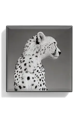 CHANTECAILLE Luminescent Eye Shades - Cheetah