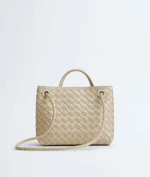 Bottega Veneta Small Intrecciato Andiamo Bag - Ecru